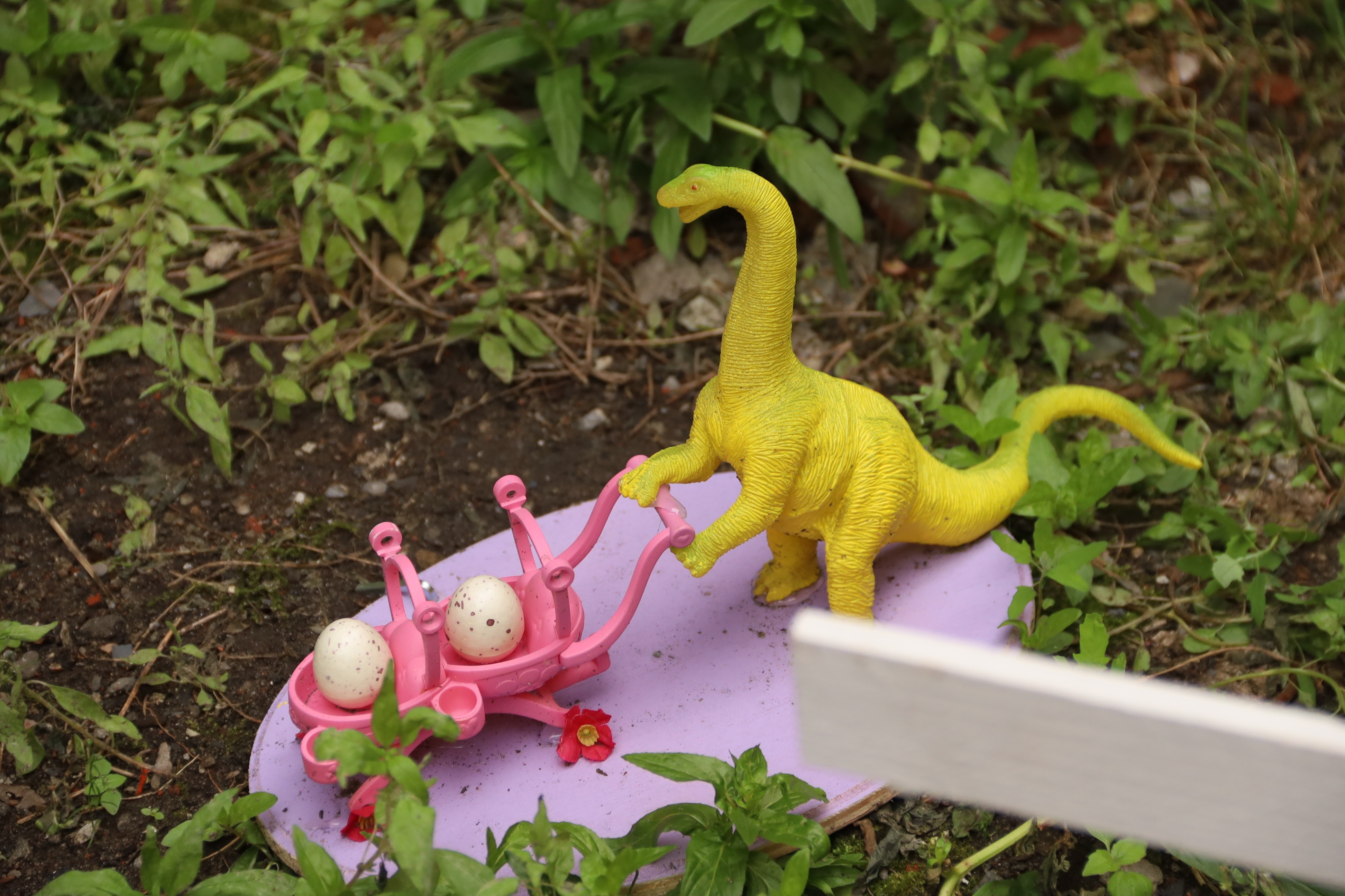 L’Expoétique – Claire Renaud | Scénographie et écriture de plateau